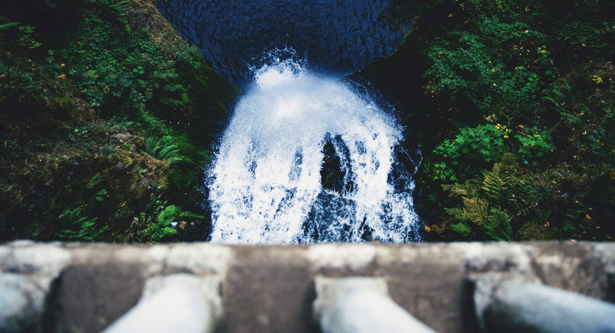 Everything You'll Ever Need to Know About Risk Management - Coron Projects